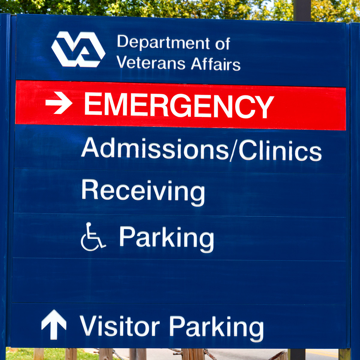 Veterans Medical Alert Devices | VA-Approved Safety Solutions by LogicMark